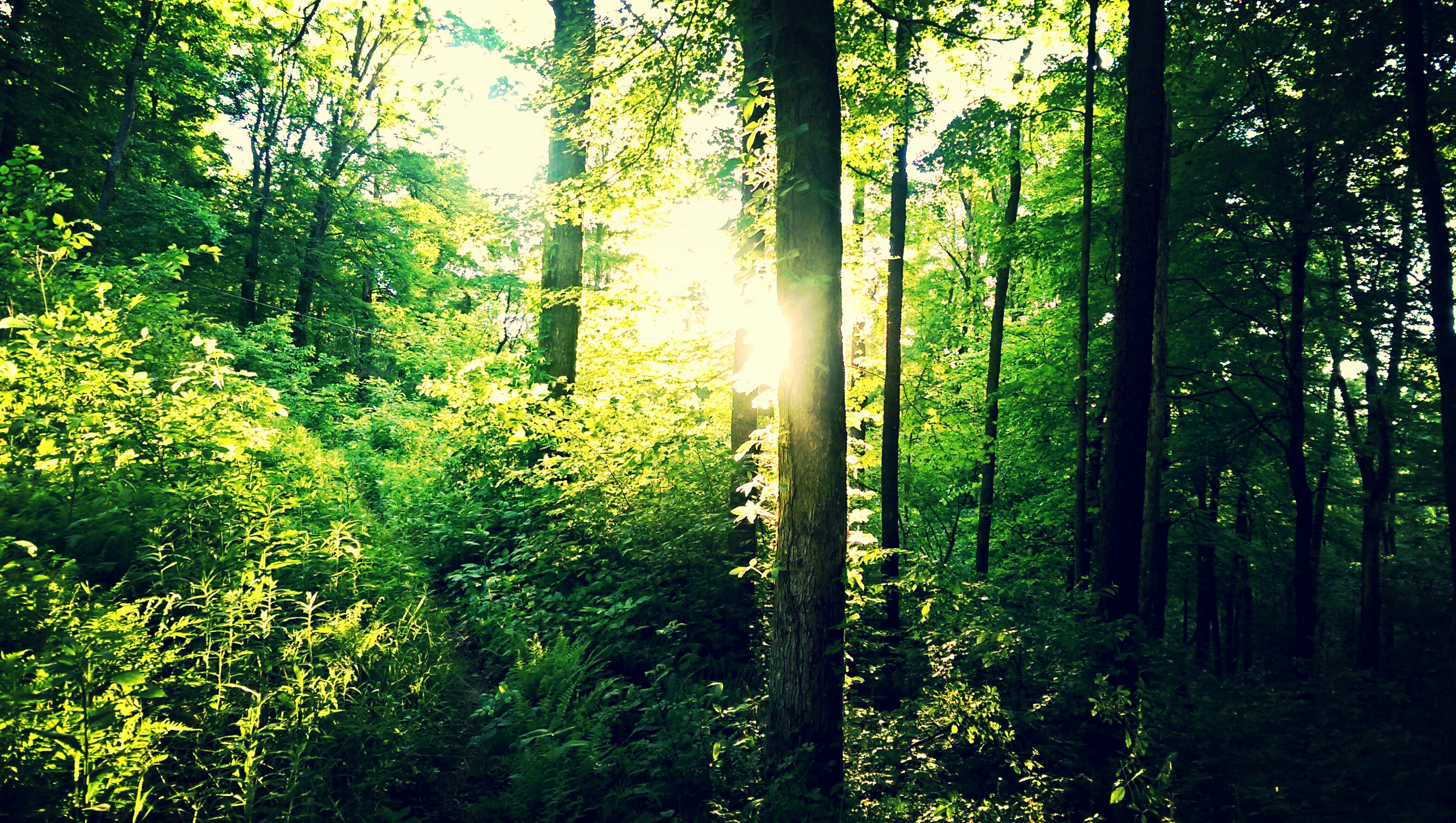 hermetically sealed: all of the bells, none of the whistles